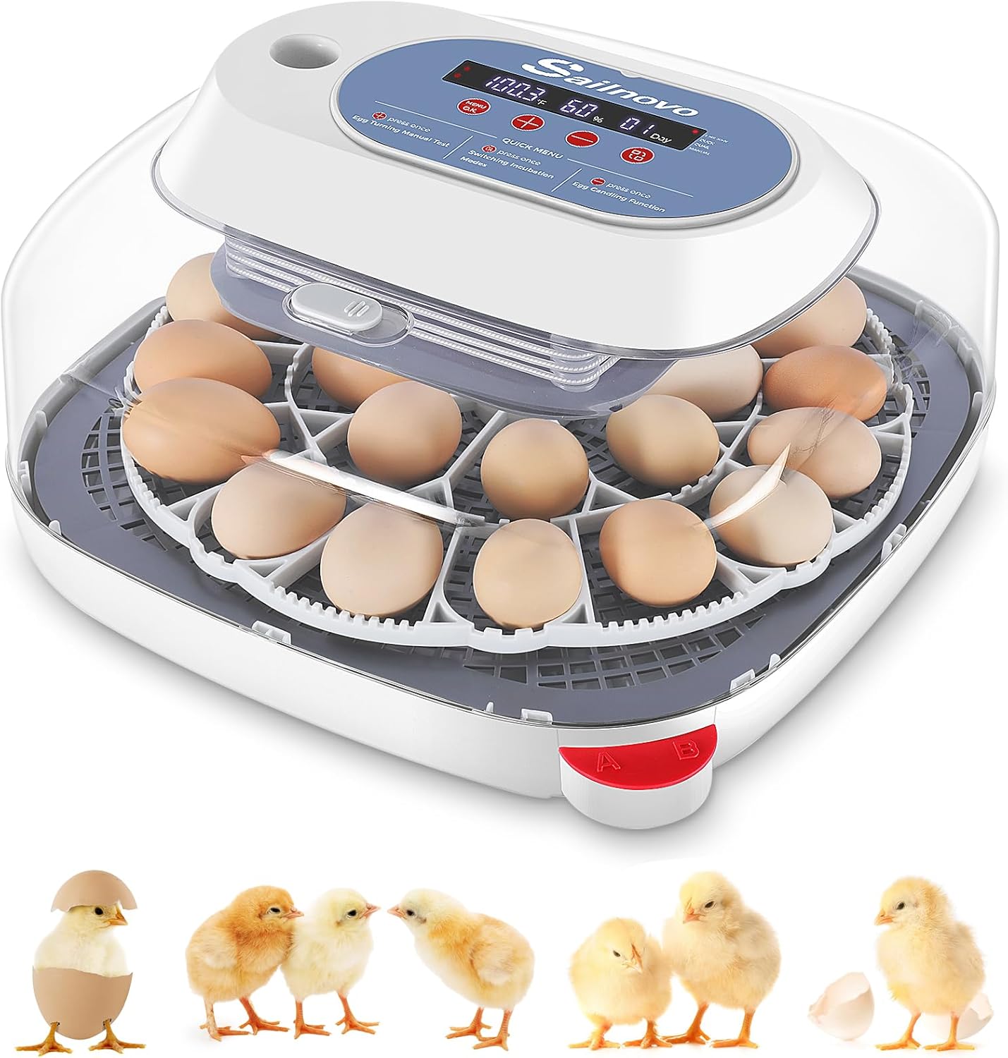 Amazon.com : Sailnovo 24 Eggs Incubators for Hatching Eggs, 4 Modes Egg ...
