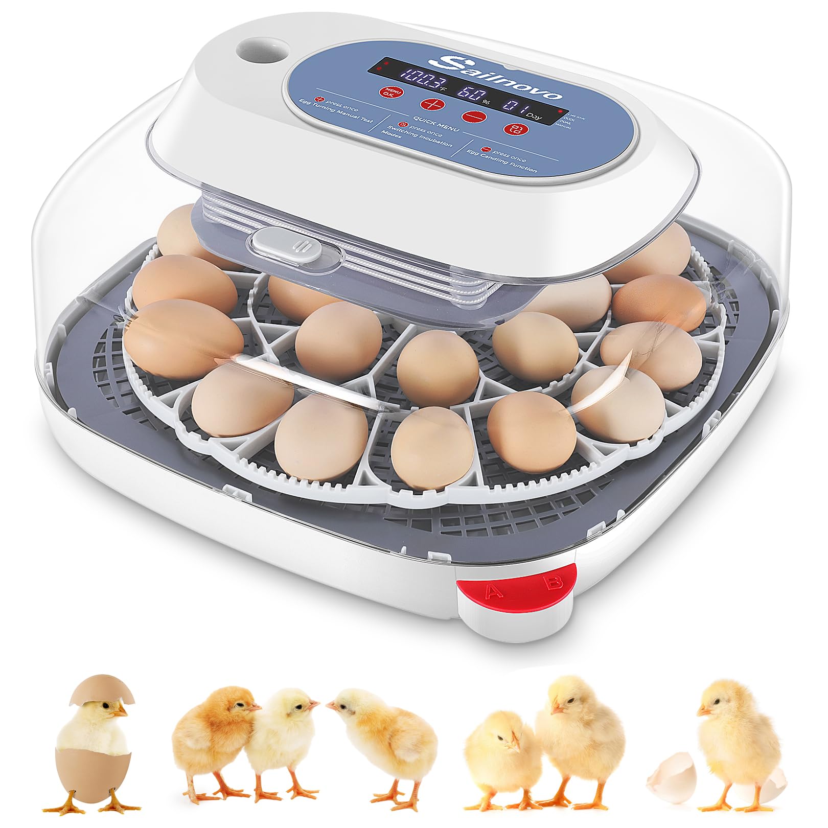 Amazon.com : Sailnovo 24 Eggs Incubators for Hatching Eggs, 4 Modes Egg ...
