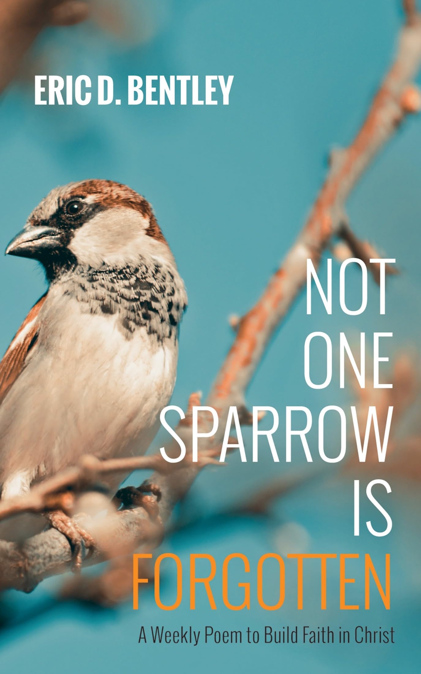 Not One Sparrow Is Forgotten: A Weekly Poem to Build Faith in Christ ...
