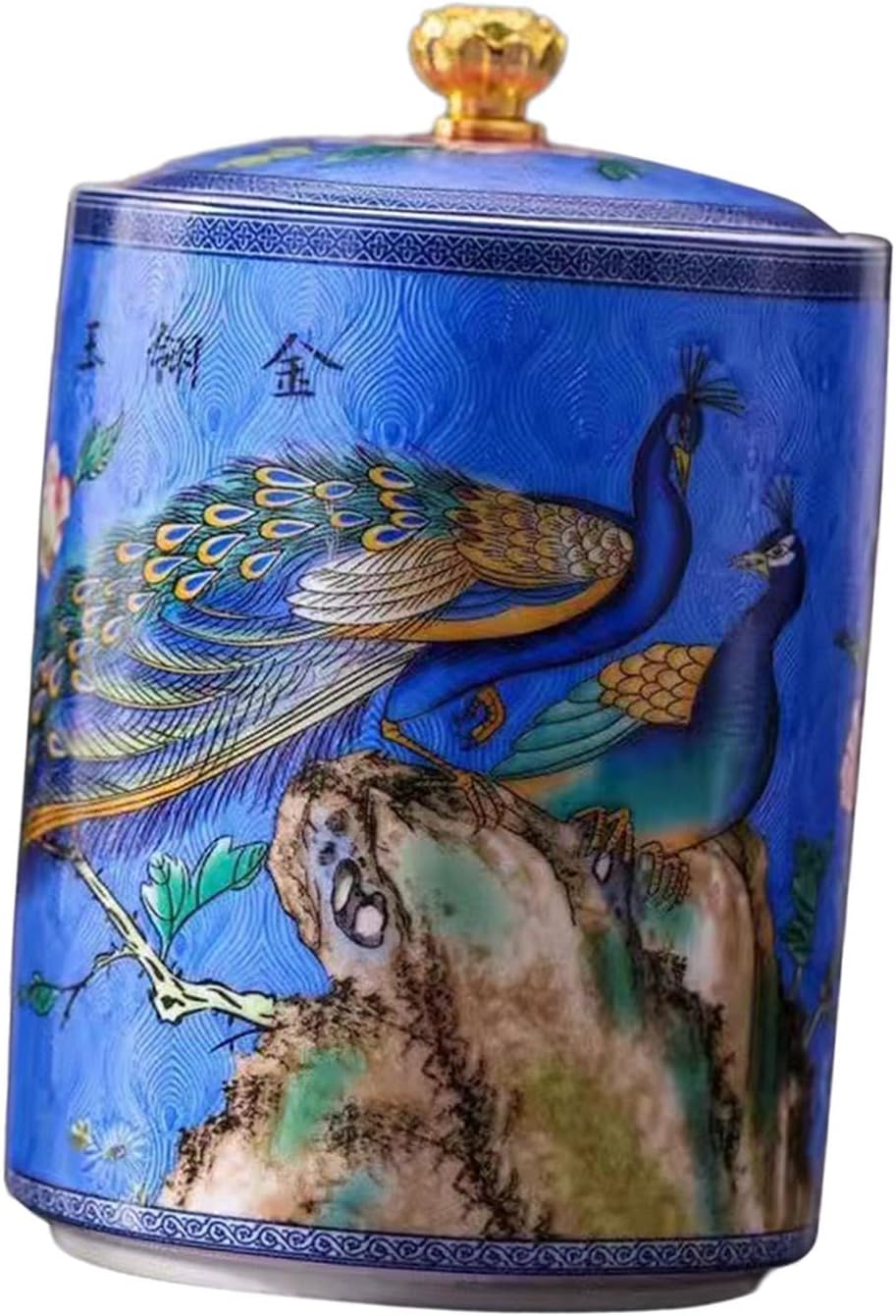 Amazon.com: KLKCMS Ceramic Tea Canister Porcelain Tea Jar Food Storage ...