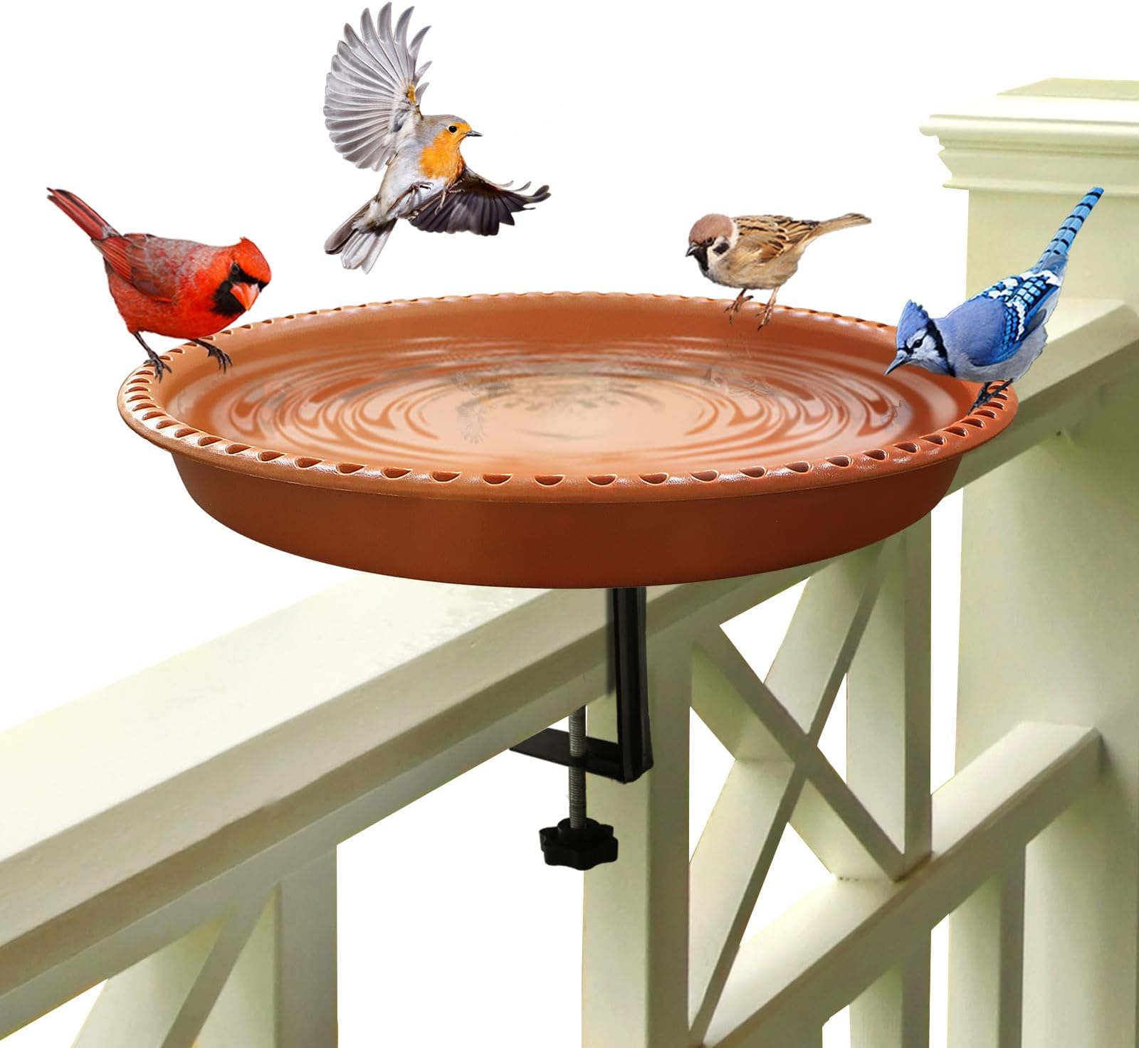 Amazon.com: Ribgwo Deck Mounted Bird Bath,Adjustable Metal Weather ...