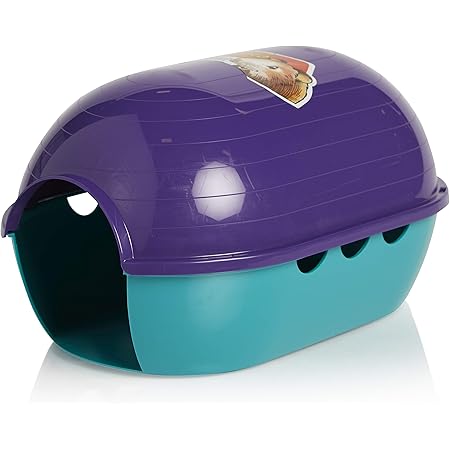 Amazon.com : Lixit Critter Space Pod, Perfect for Small Animals (Large ...