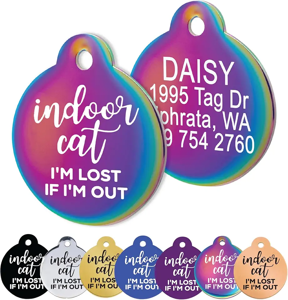 Can You Change A Cat's Name? The Do's And Don'ts Of Renaming Your ...