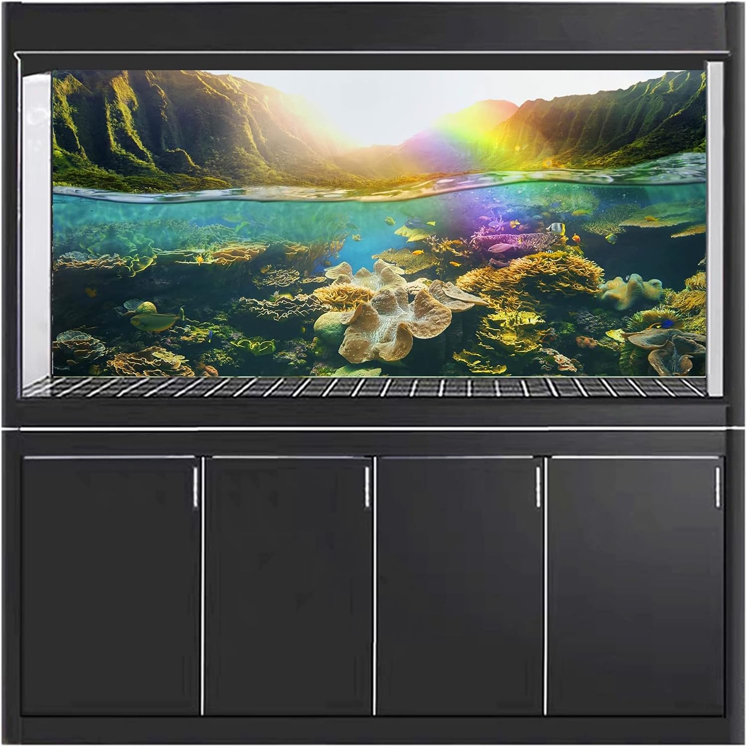 Amazon.com: BAHULA 3D Fish Tank Background Backdrop Univeral Aquarium ...