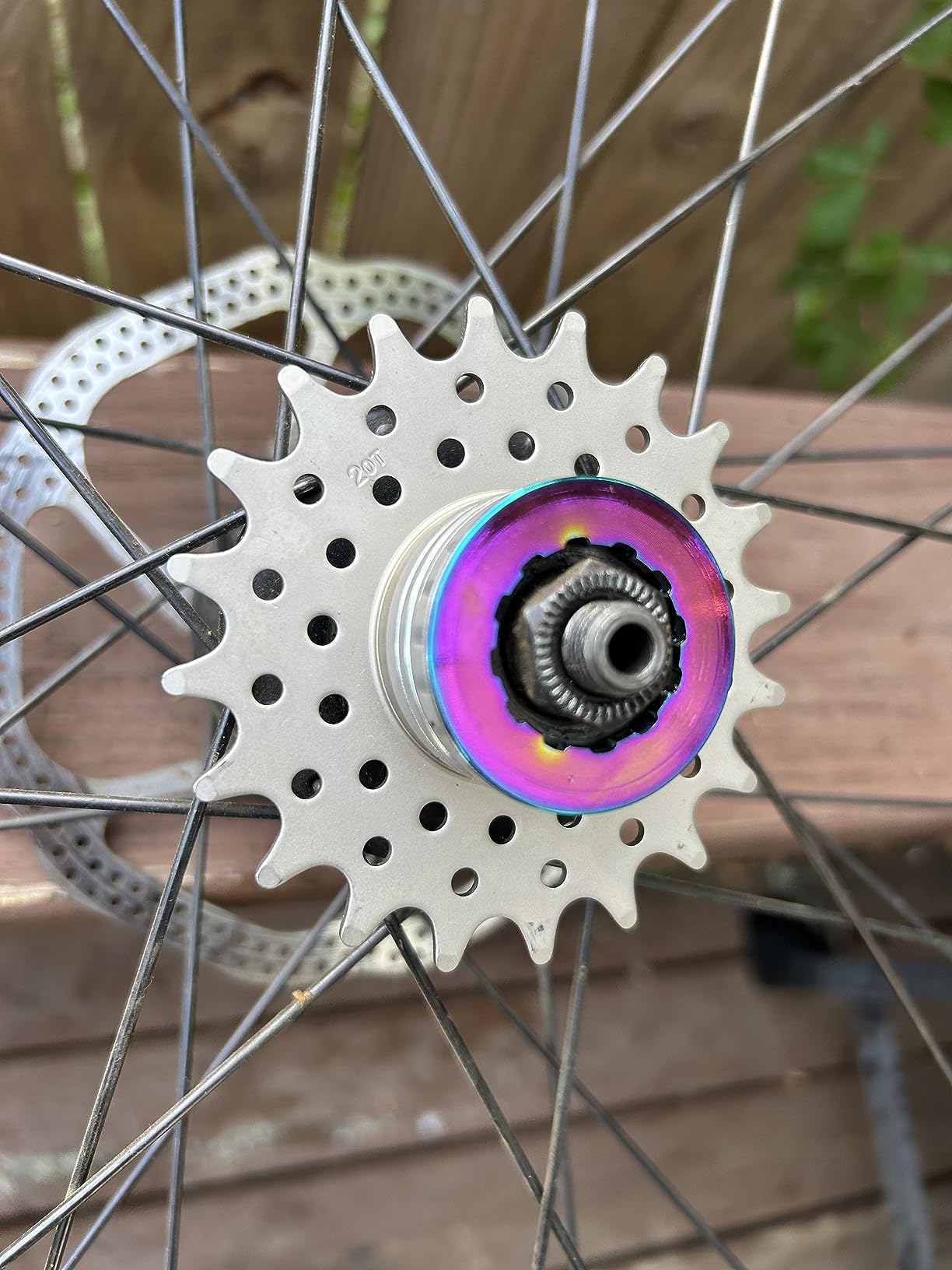Amazon.com : Origin8 Torq Lite Cassette Cog : Sports & Outdoors