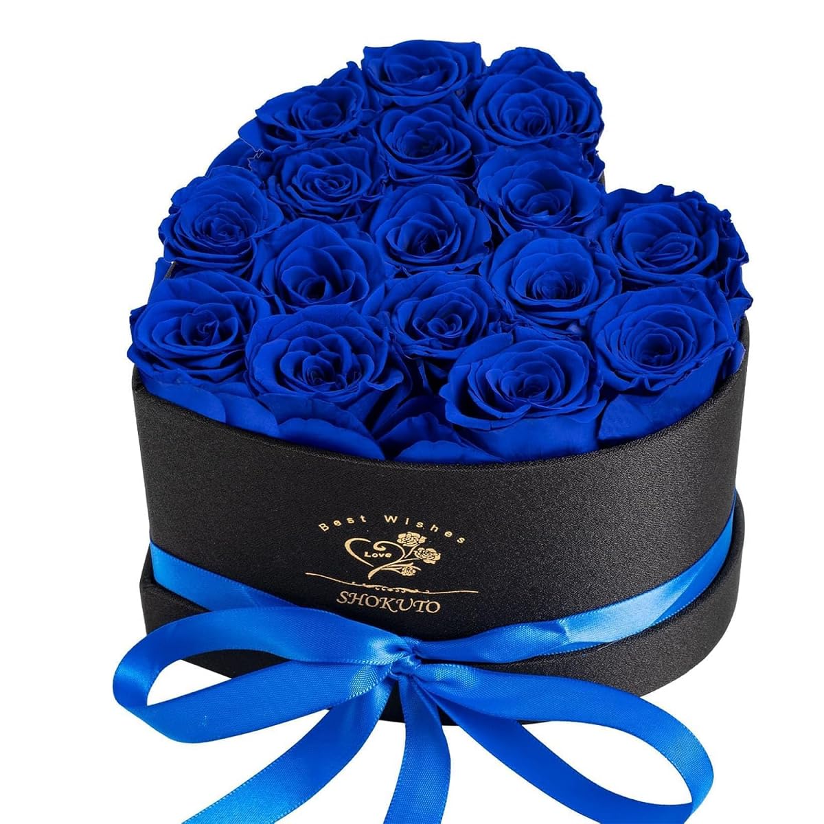 Beauty And The Beast Rosas Eternas 16-Piece Preserved Forever Real ...