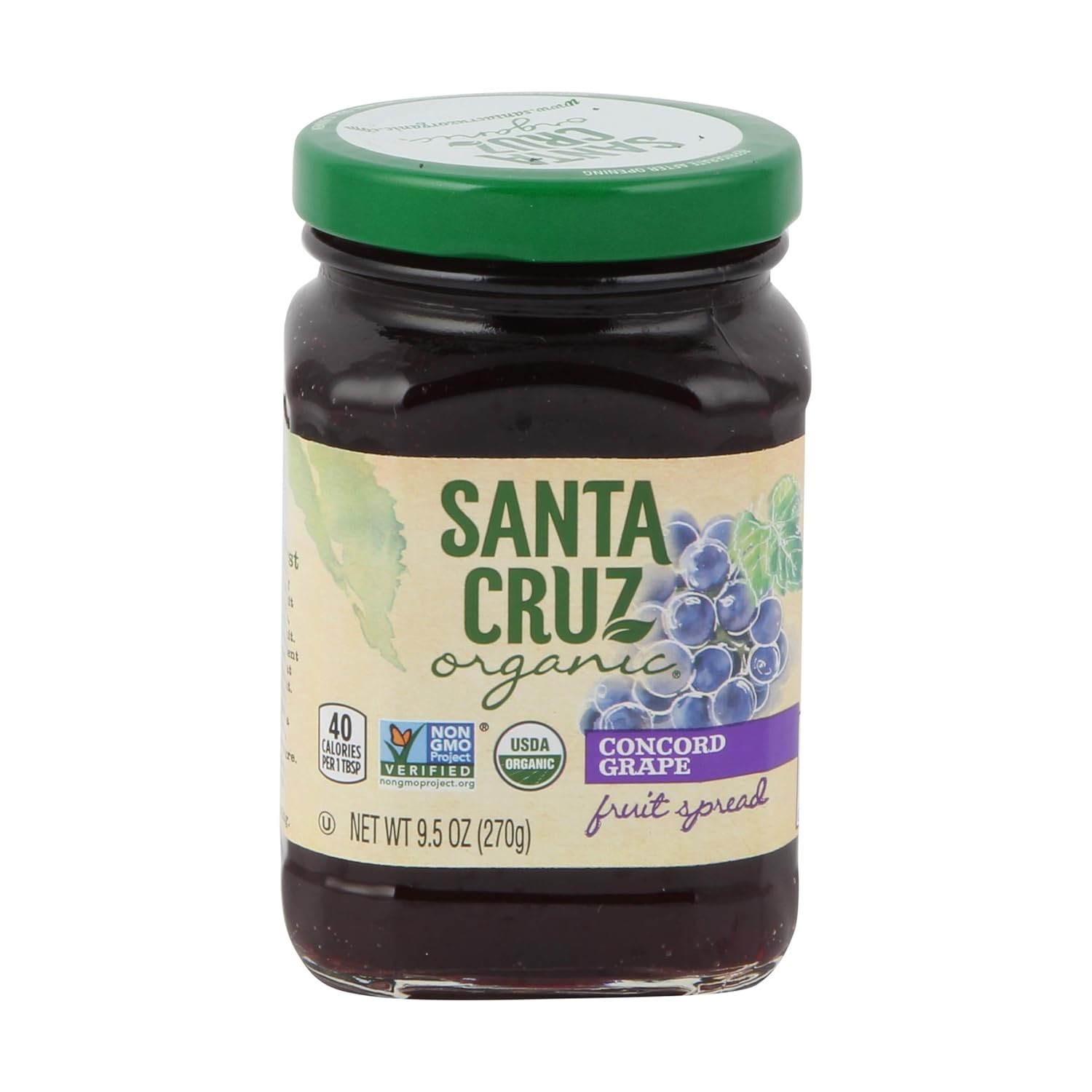Amazon.com: Santa Cruz Fruit Spread, Concord Grape, 9.5 oz : Grocery ...