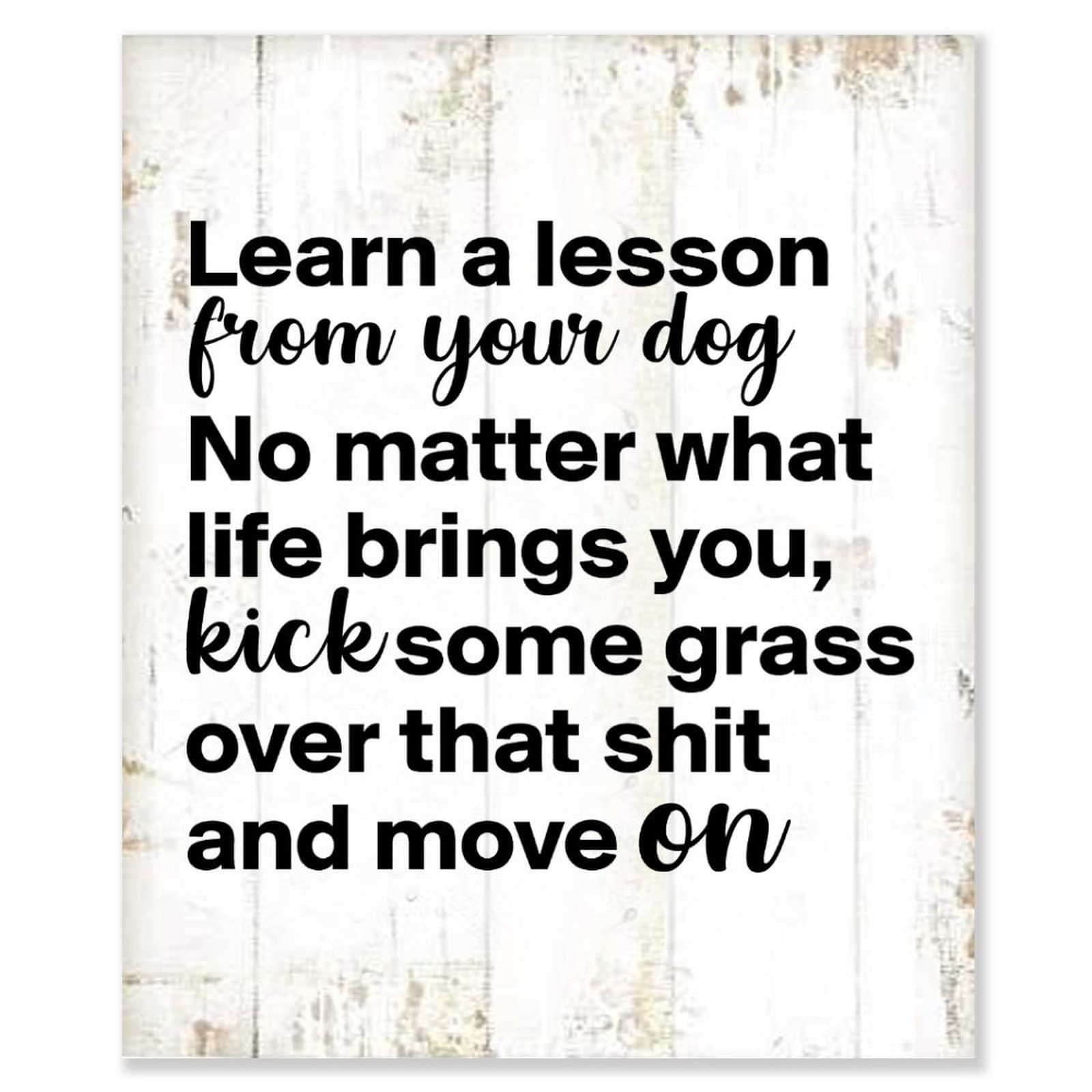 Learn A Lesson From Your Dog No Matter