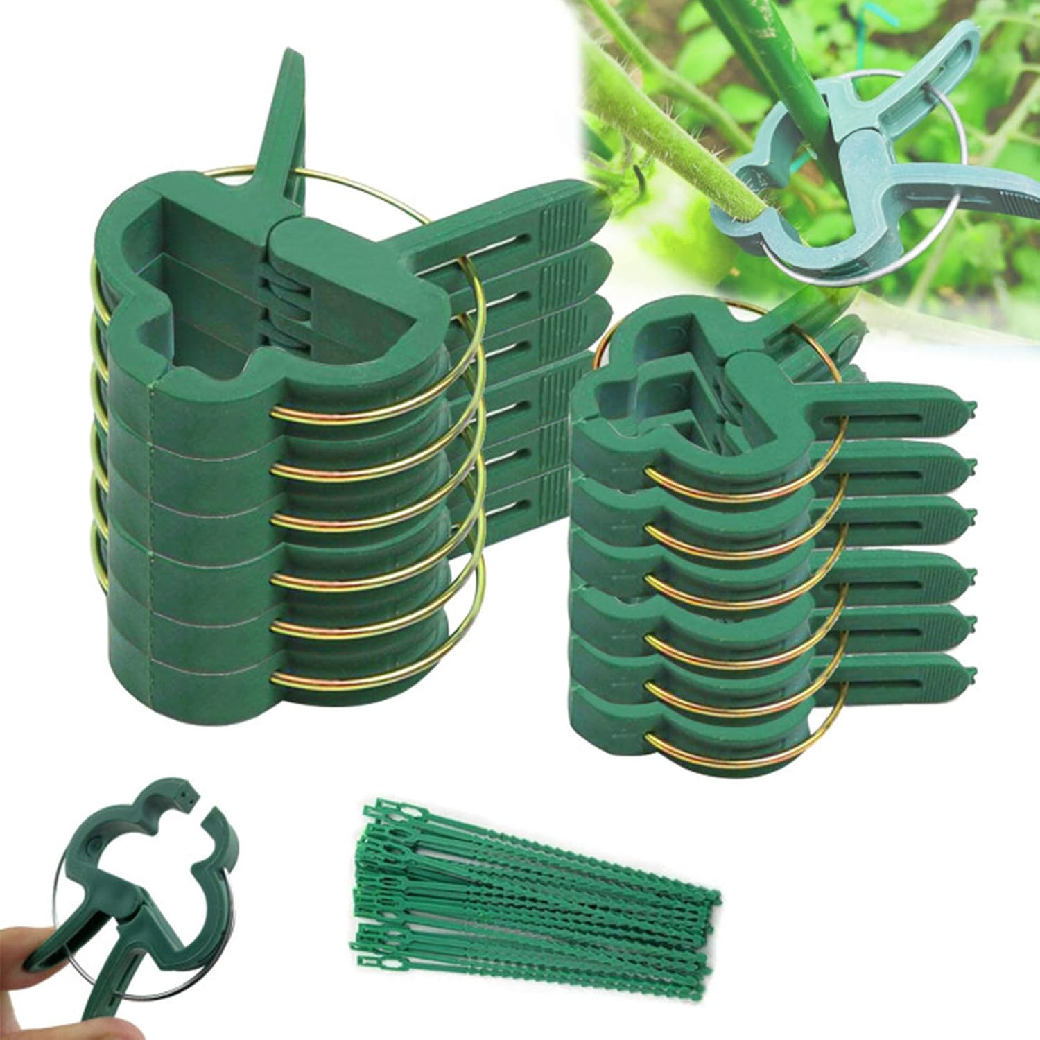 Amazon.com : Gentle Plant & Flower Clips for Supporting Climbing Vines ...