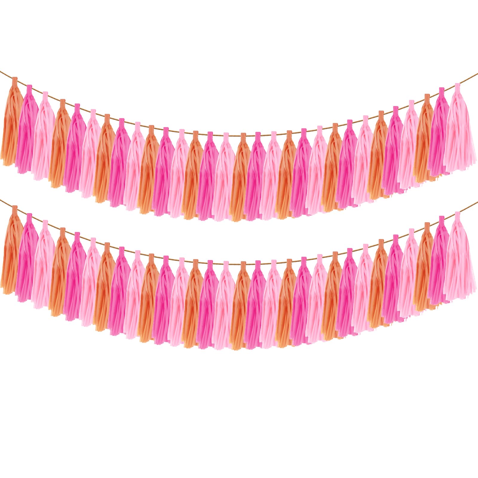 Amazon.com: 30pcs Rose Red, Pink and Orange Tassel Garland Banner Paper ...