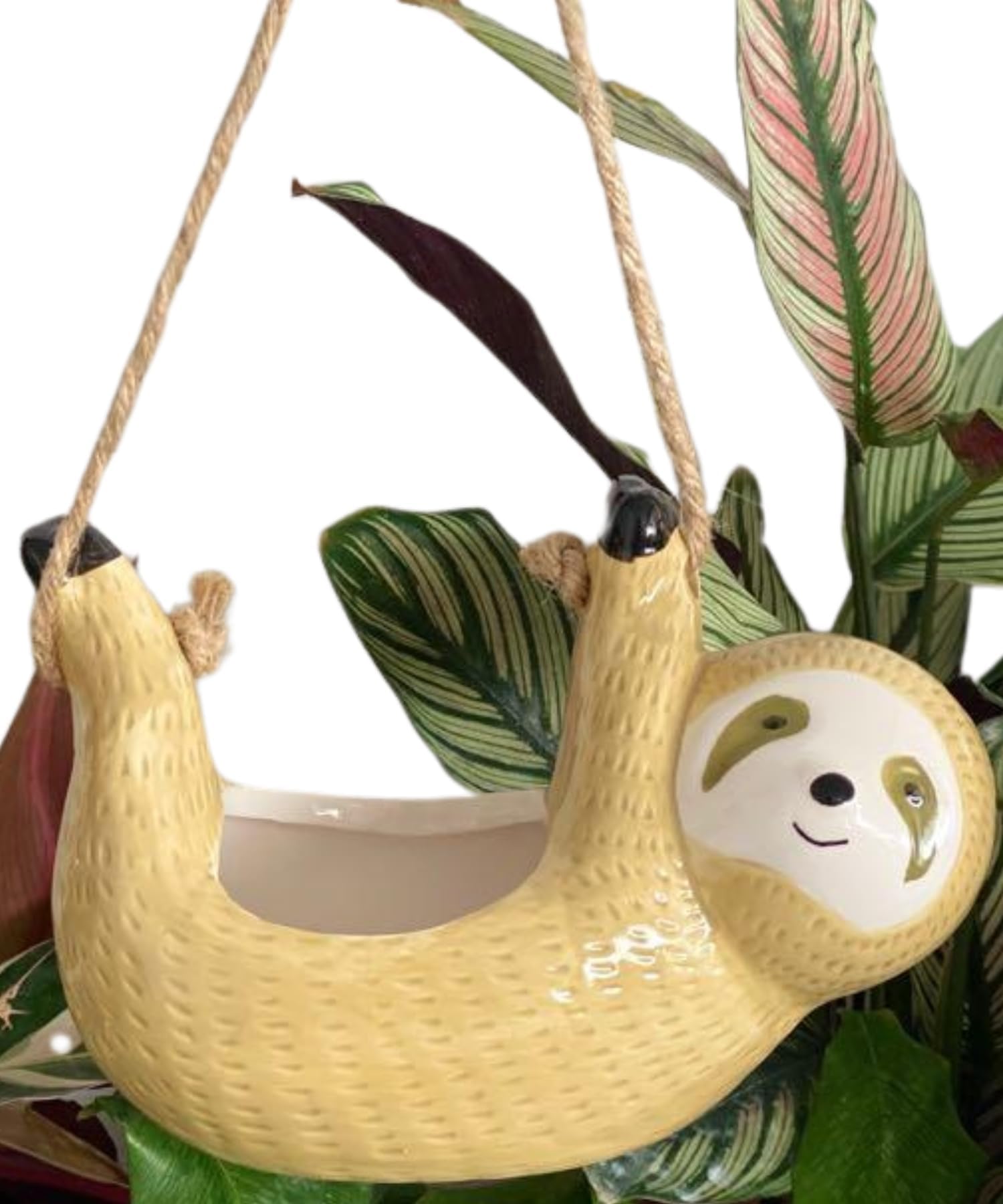 Amazon.com: Okllen Ceramic Sloth Planters, 2 Pack, Premium Hanging ...