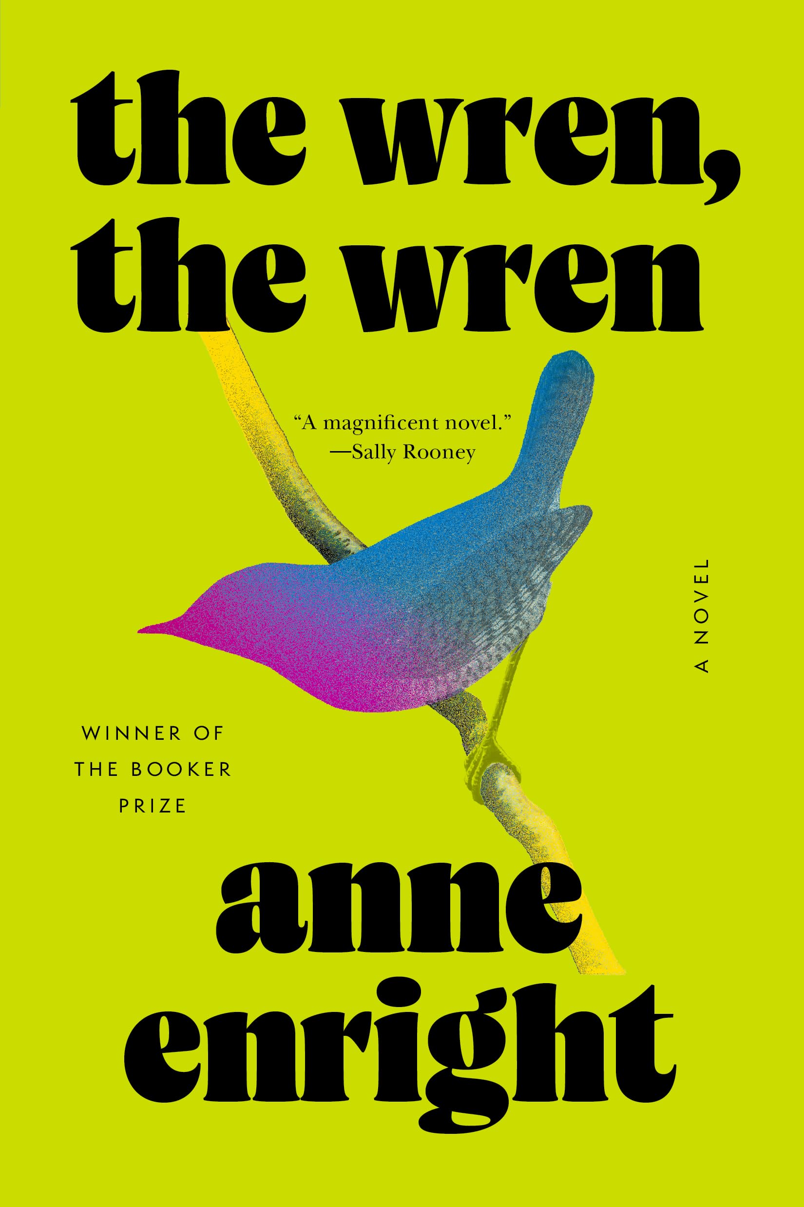 The Wren, the Wren: A Novel: Enright, Anne: 9781324076032: Amazon.com ...