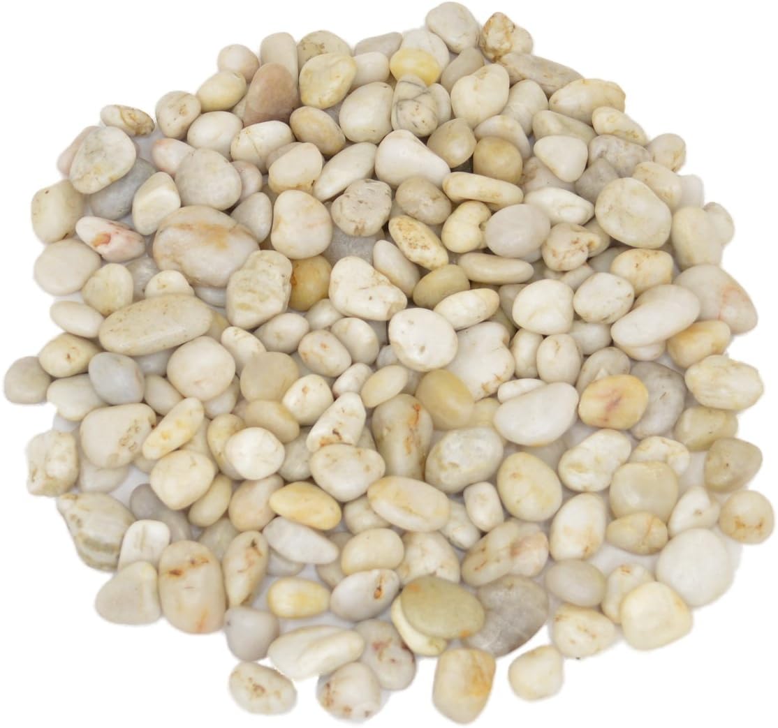 Amazon.com : CNZ Decorative Ornamental River Light Color Pebble Stone ...