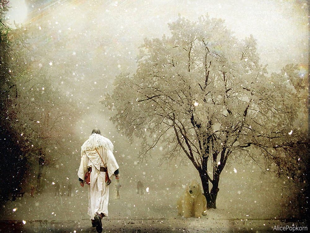 Amazon.com: Christmas Poster Polar Bear Picture Winter Snow Scene 18x24 ...