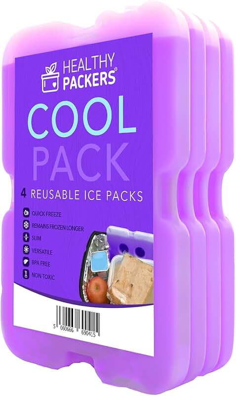 Amazon.ca: ice packs