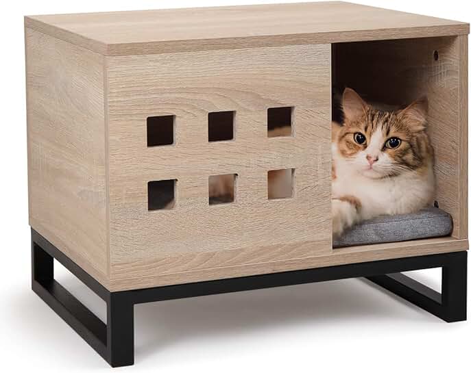 Amazon.com: cat cubbies