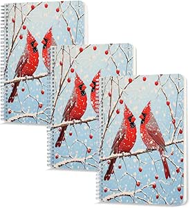 Amazon.com : Spiral Notebook,Double-Wire Spiral Lined Journal Notebook ...