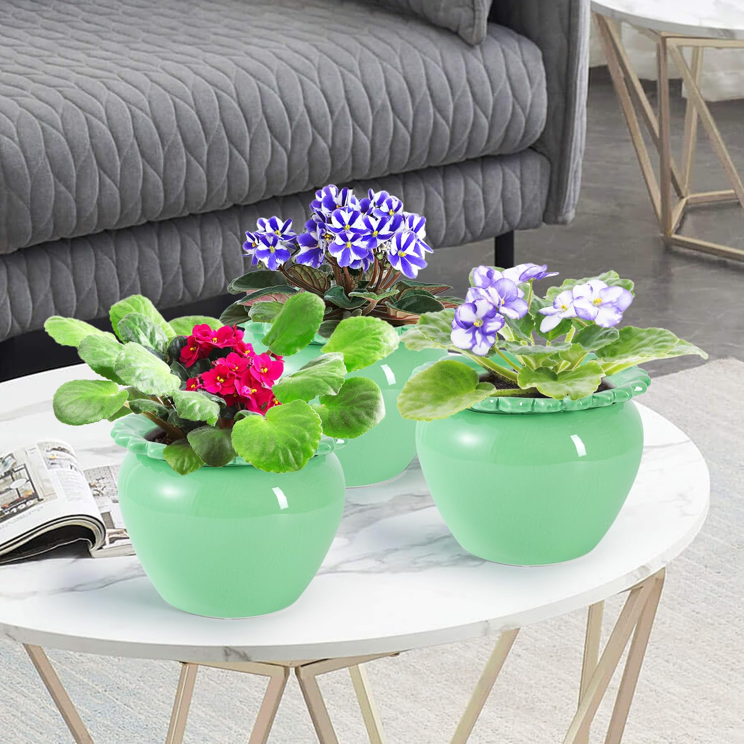 Large African Violet Pots Garden Dilemmas, Delights & Discoveries, Ask