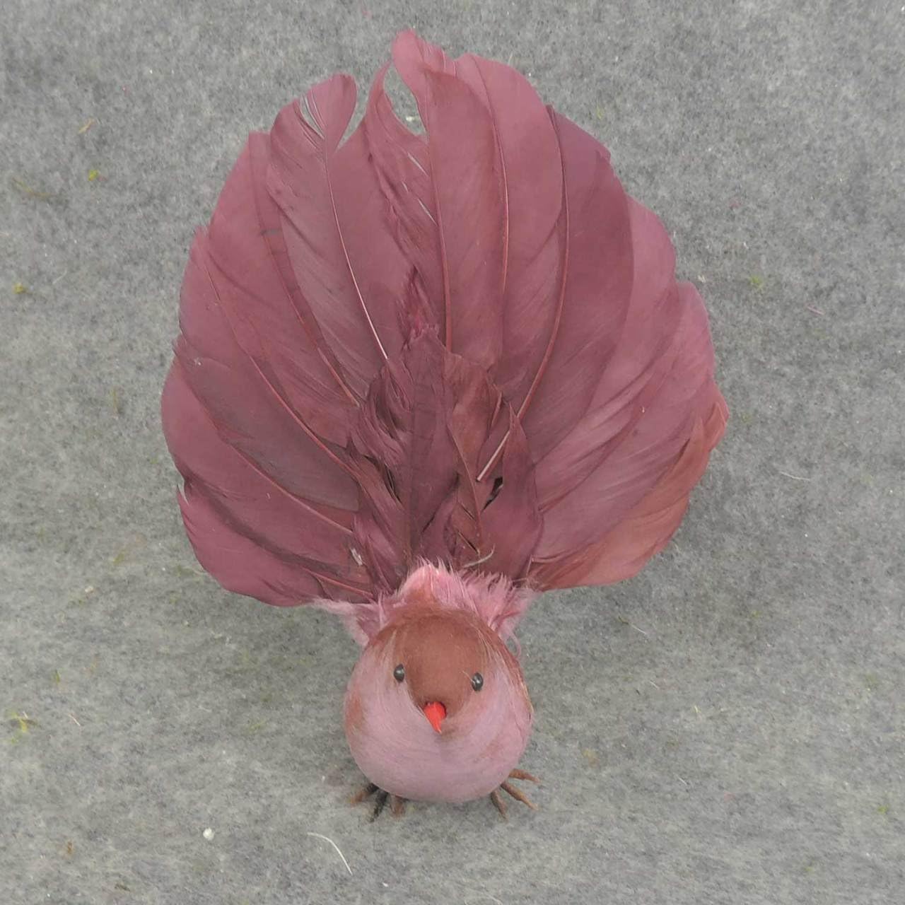 Amazon.com: One Dozen, 5 Inch Colored Fantail Robin To Add Color To ...