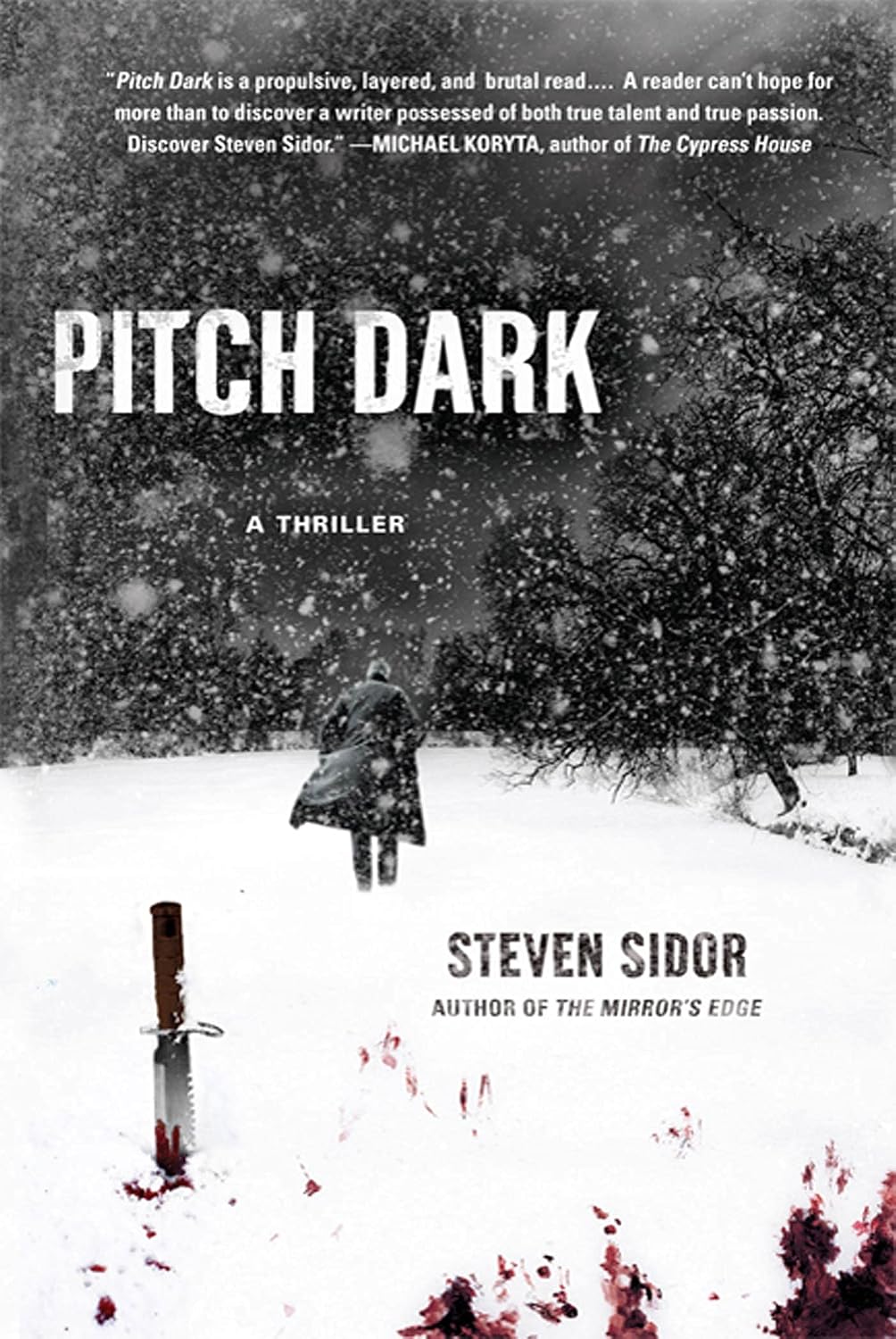 Pitch Dark: A Thriller: Sidor, Steven: 9780312354145: Amazon.com: Books