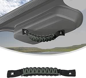 Amazon.com: Linskip Grab Handle Rear Window Grip Handle Fit for 2018 ...