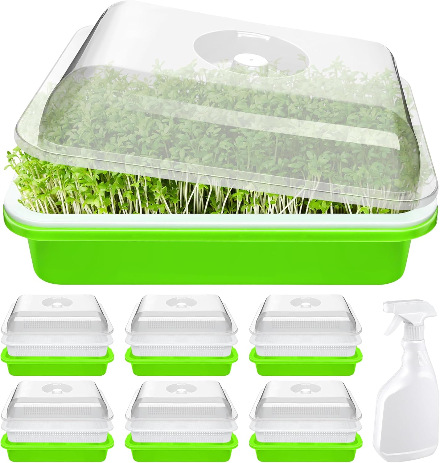 Amazon.com : Hahood 6 Sets Seed Sprouter Trays with Drain Holes ...