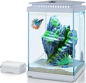 Amazon.com : FEDOUR Small Glass Aquarium, 1 Gallon Desktop Fish Tank ...