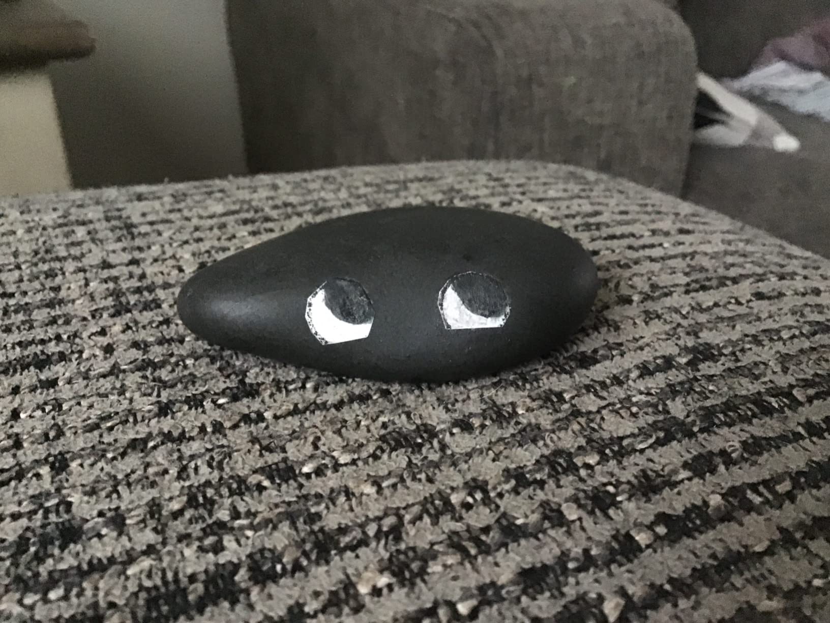 Amazon.com: Pet Rock - The Original by Gary Dahl : Pet Supplies