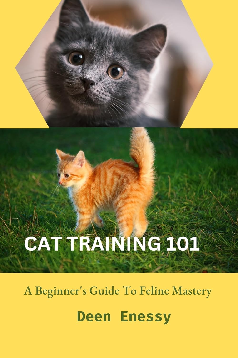 CAT TRAINING 101: A Beginner's Guide to Feline Mastery eBook : Enessy ...