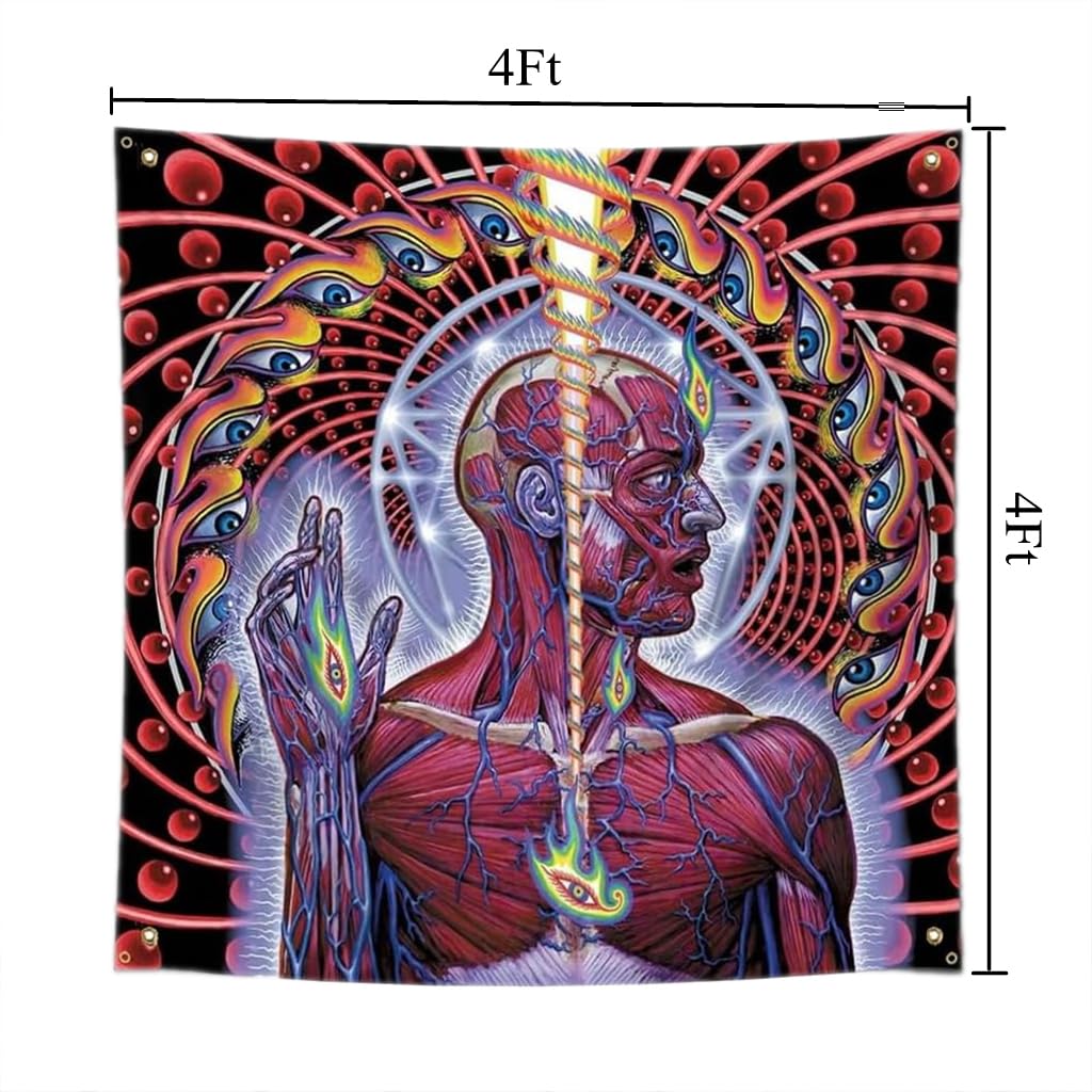 Lateralus Memes Lateralus Meme | TikTok