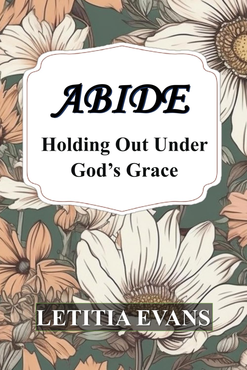 Abide: Holding Out Under God's Grace: Evans, Letitia: 9781601416438 ...