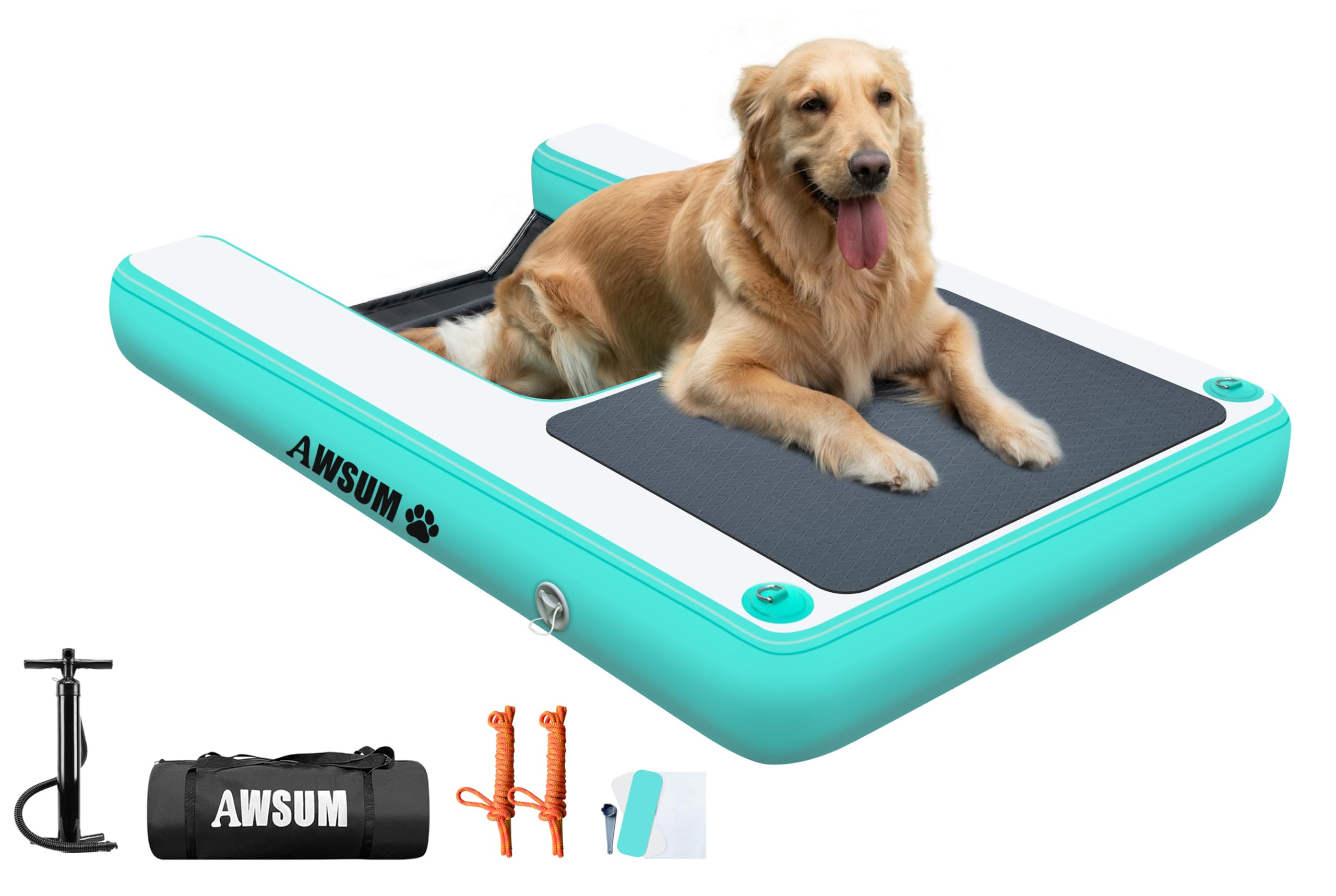 Dog Pool Ramp For Small Medium Dogs AWSUM Inflatable – 4ft Floating ...