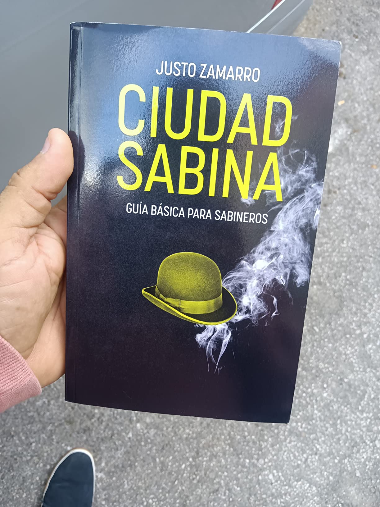 CIUDAD SABINA: Guía básica para sabineros : Zamarro, Justo: Amazon.es ...