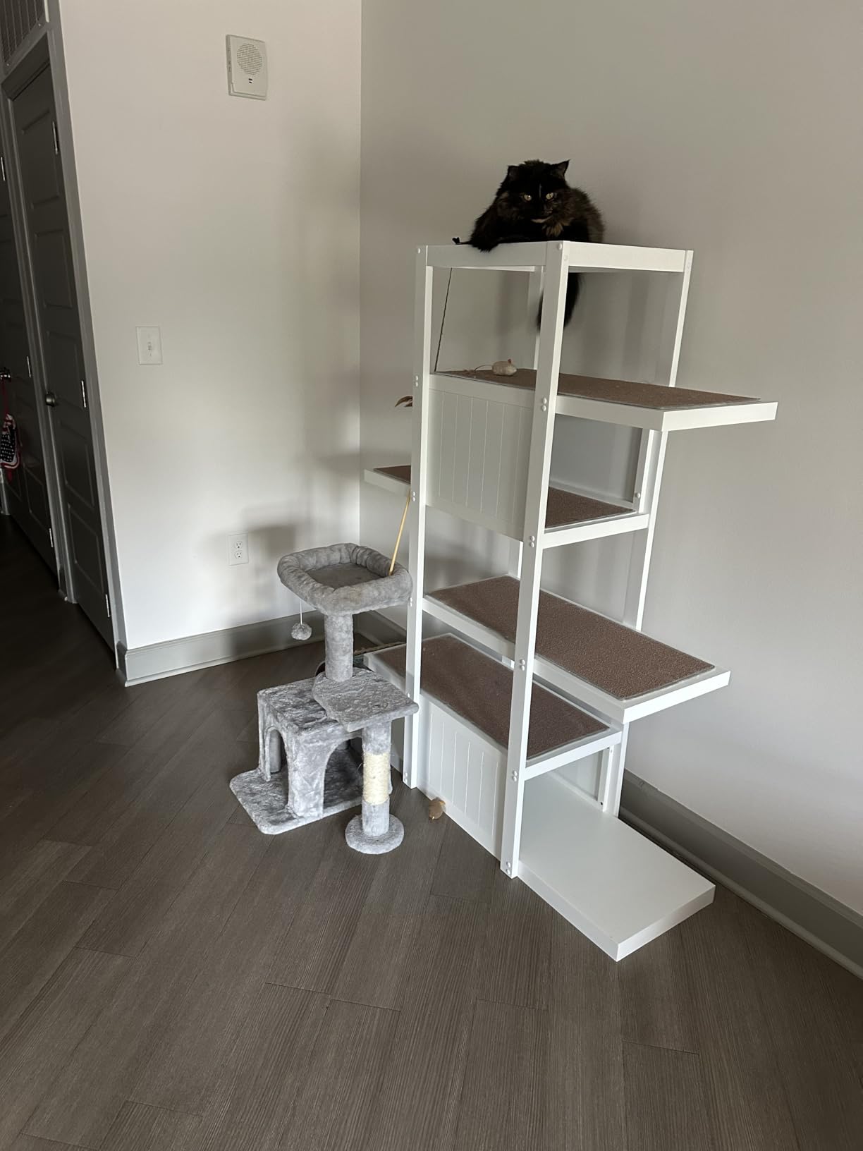 Amazon.com : Bookshelf Cat Tree : Pet Supplies