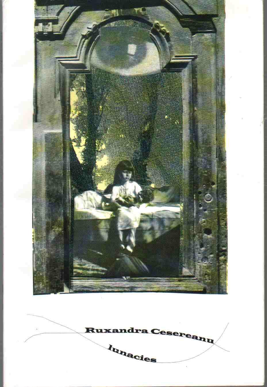 Lunacies: Cesereanu, Ruxandra, Sorkin, Adam J.: 9780923389673: Amazon ...