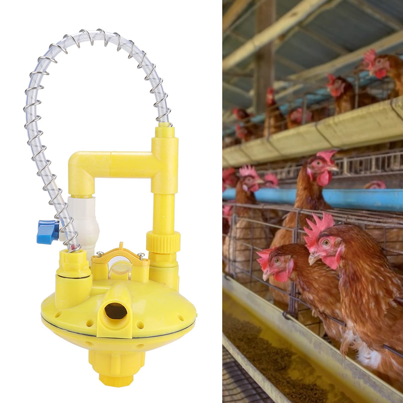 Regulator Regulating Reducing Valve Drinker Pressure Regulator Valve ...