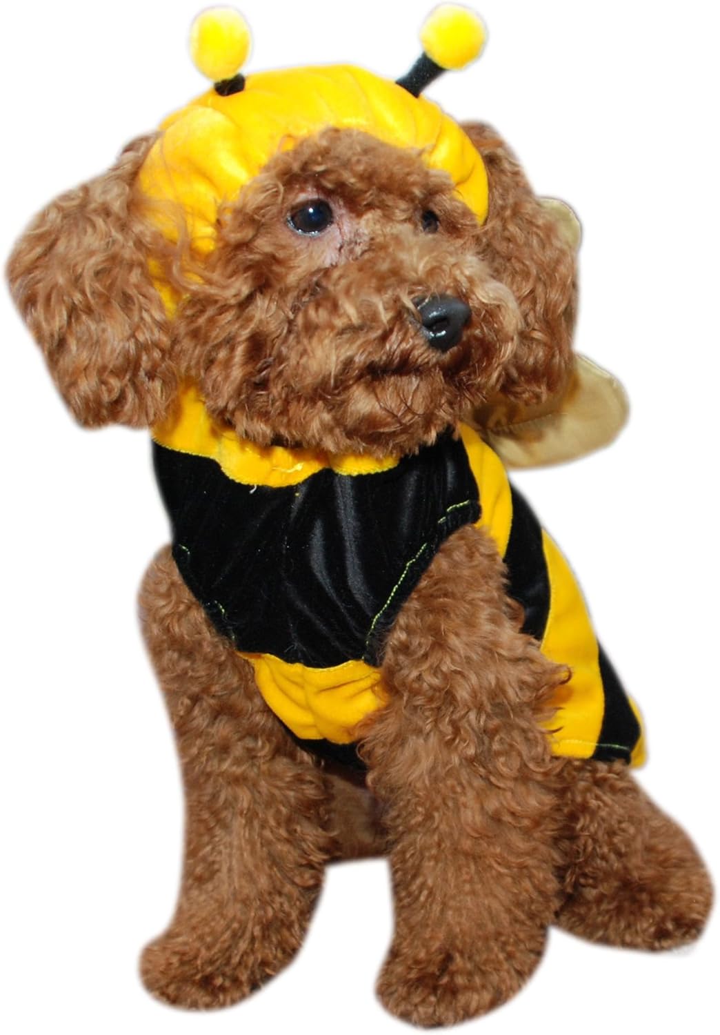 Amazon.com: Bumble Bee Dog Costume : Pet Supplies