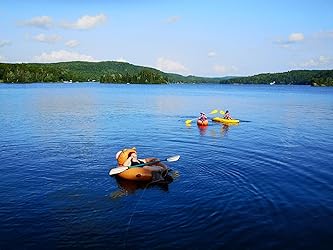 Float-EH Beaver Pool Float for Adults - Beach Floats are Thick, Durable ...