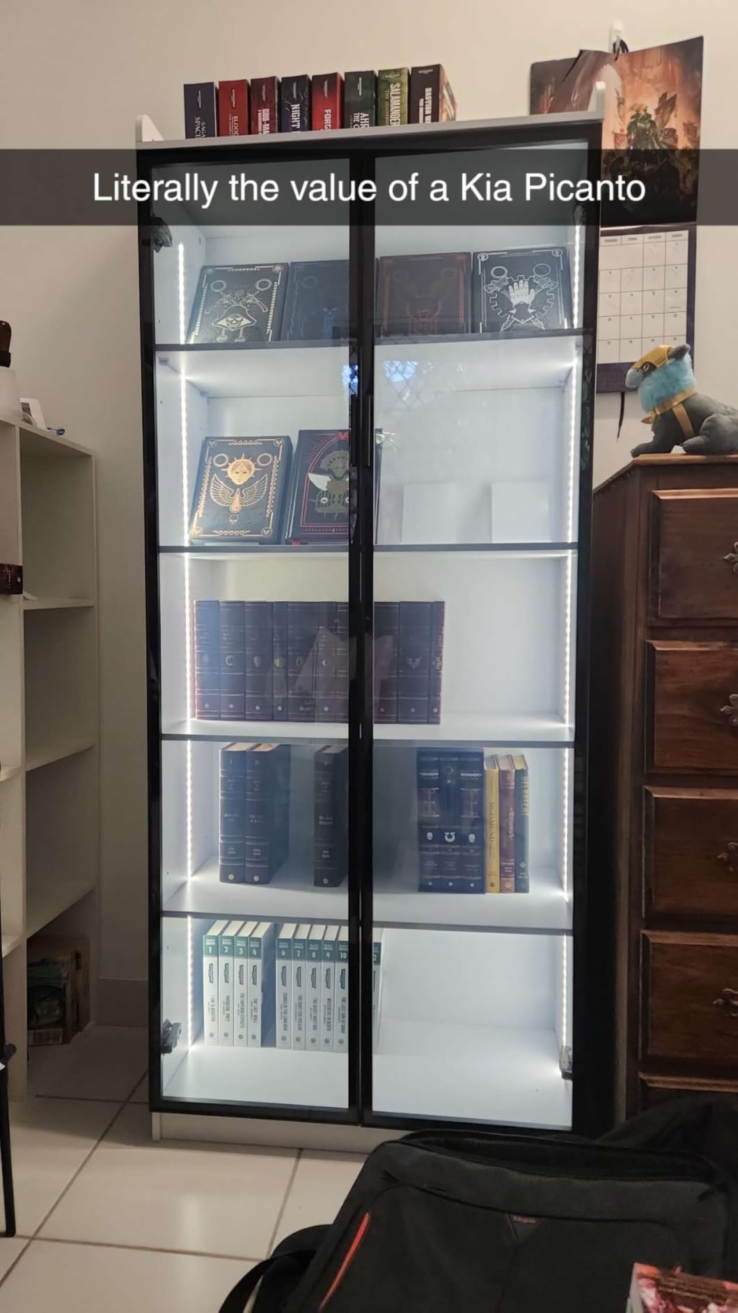 Dystler Bookcase with 2 Doors & Adjustable Shelves, Tall Storage ...