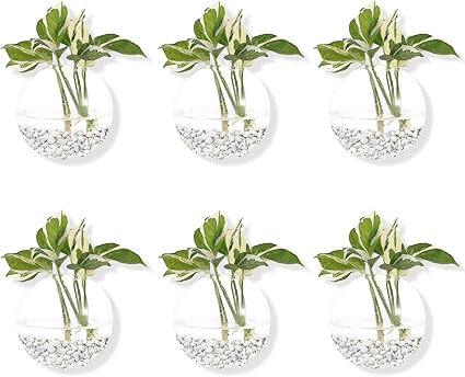 Amazon.com: DZHJKIO Pack of 6 Glass Planters Wall Hanging Planters ...