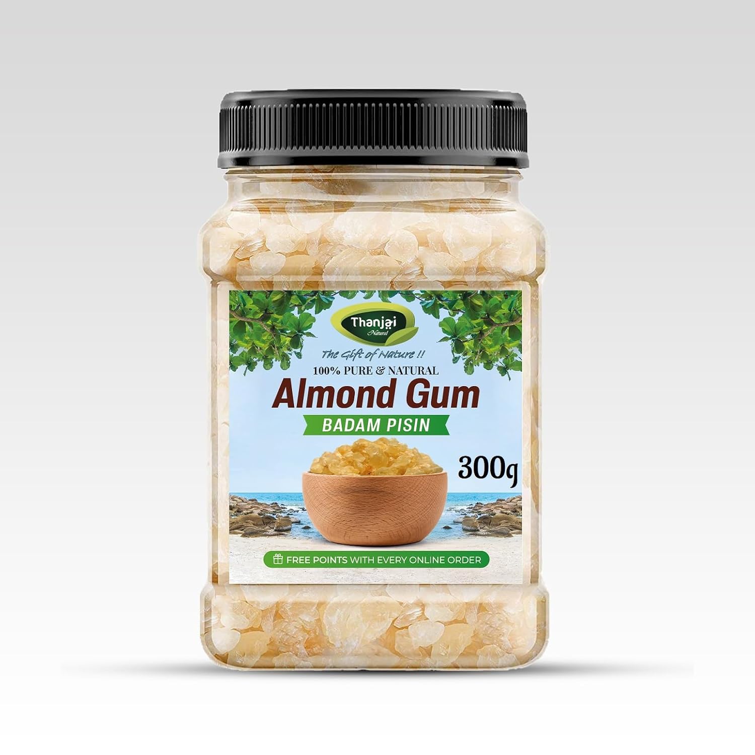 Thanjai Natural Almond Gum 300g (Jar) | Badam Pisin | Gond Katira ...