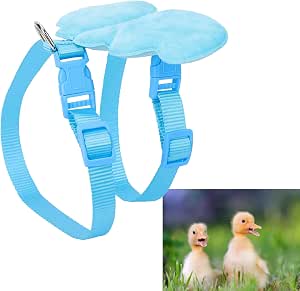 Bird Harness and Leash Duck Lead Adjustable Chicken Walking Outdoor ...