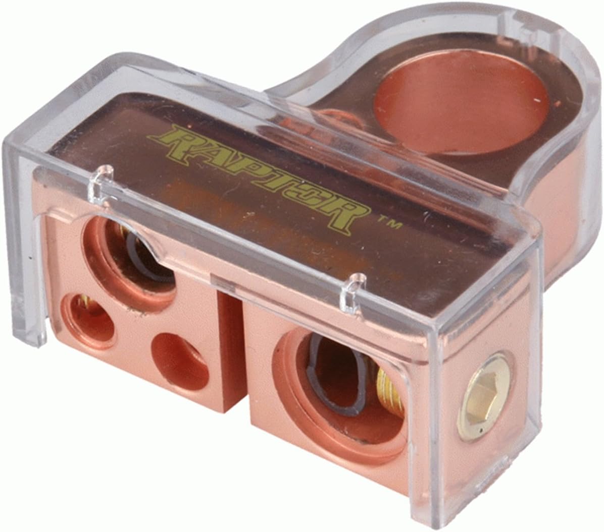 Amazon.com: Raptor RGBTP-4C Rose Gold Positive Battery Terminal ...
