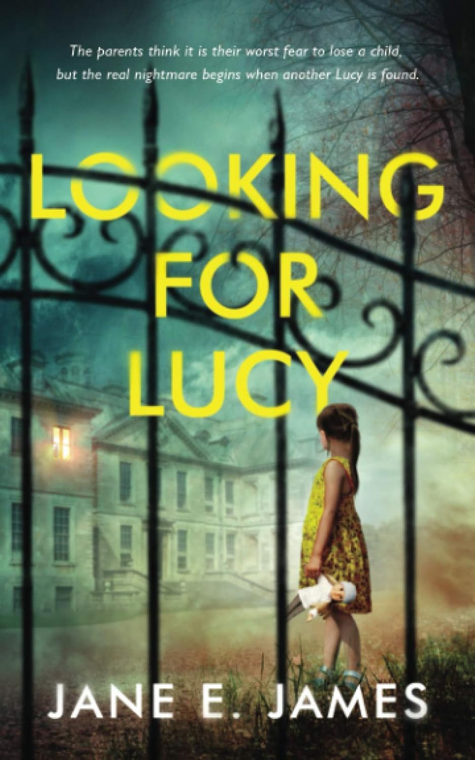Amazon.com: Looking For Lucy: 9781838428600: James, Jane E: Books