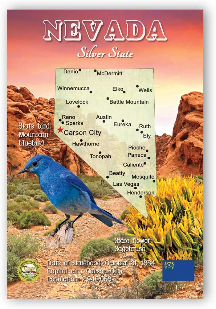 Amazon.com : NEVADA MAP postcard set of 20 identical postcards. NV ...