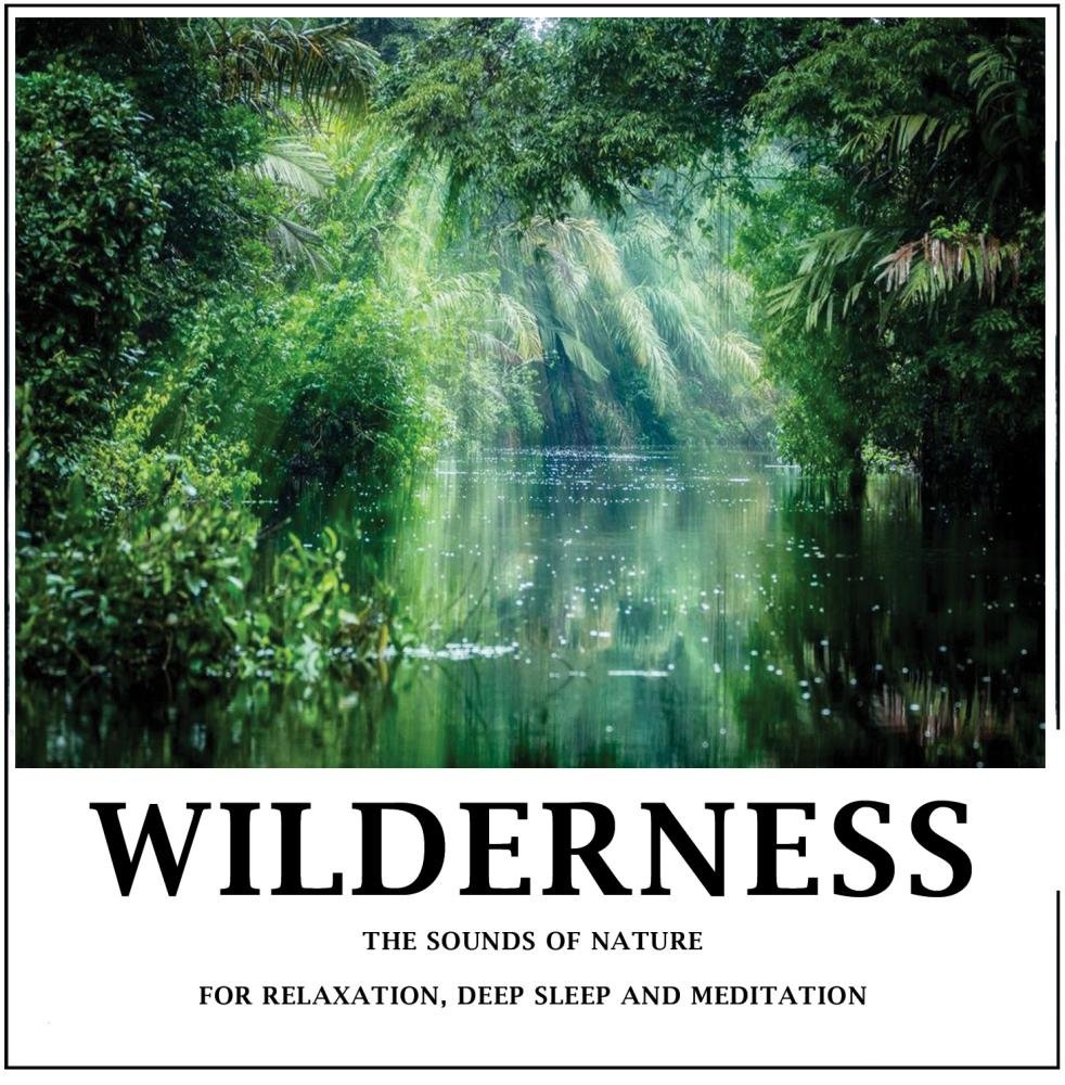 relaxing sounds of nature - Wilderness: Pure sounds of nature for ...