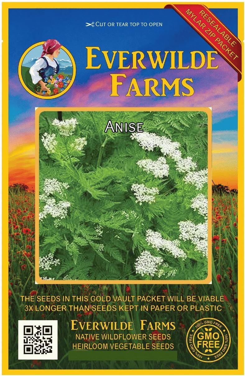 Amazon.com : Everwilde Farms - 300 Anise Herb Seeds - Gold Vault Jumbo ...