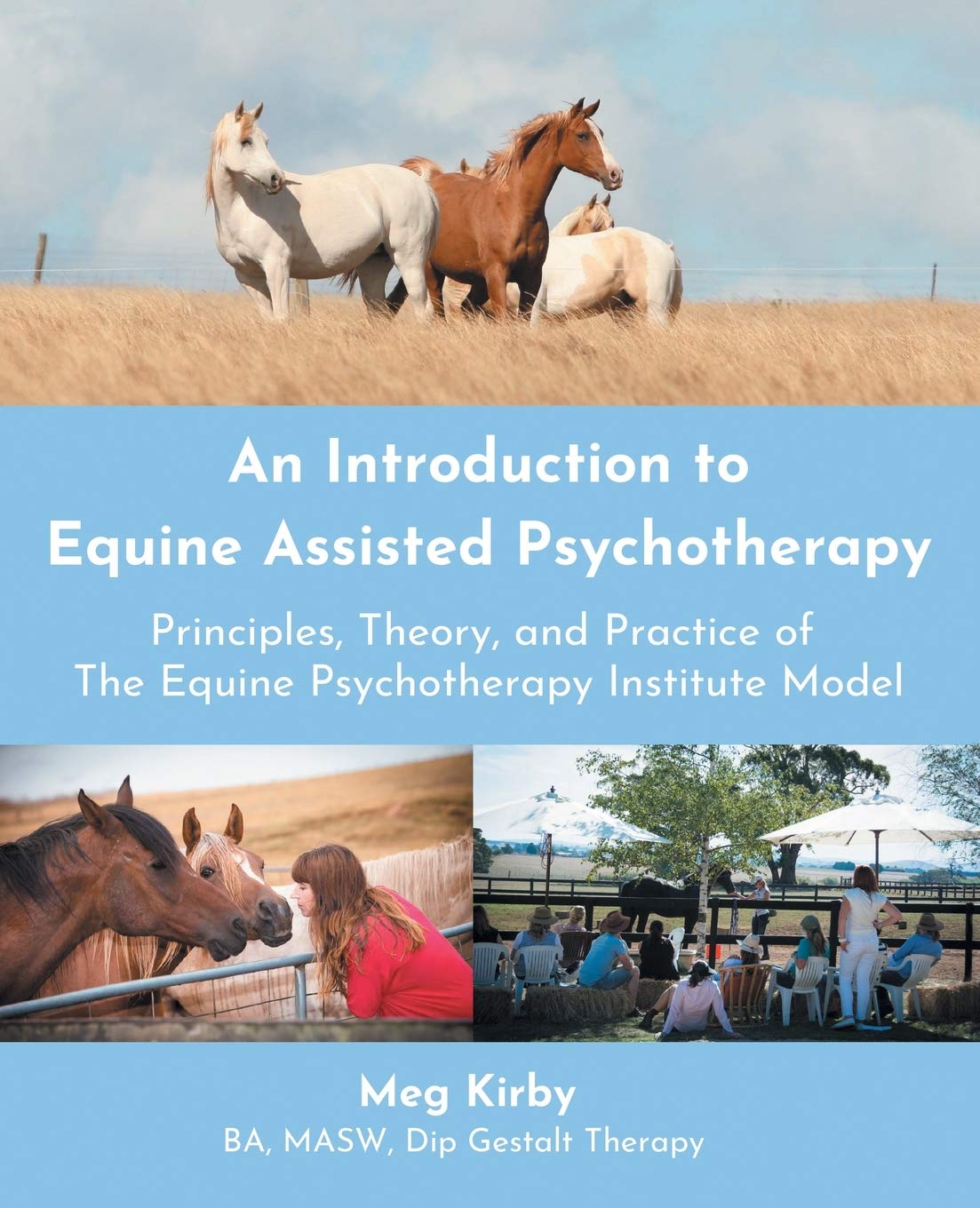 An Introduction to Equine Assisted Psychotherapy: Principles, Theory ...