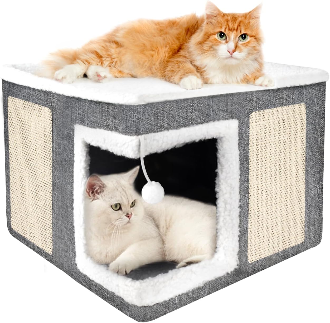 Amazon.com : Ozy Pets Sturdy cat Bed for Indoor Cats – Foldable pet ...