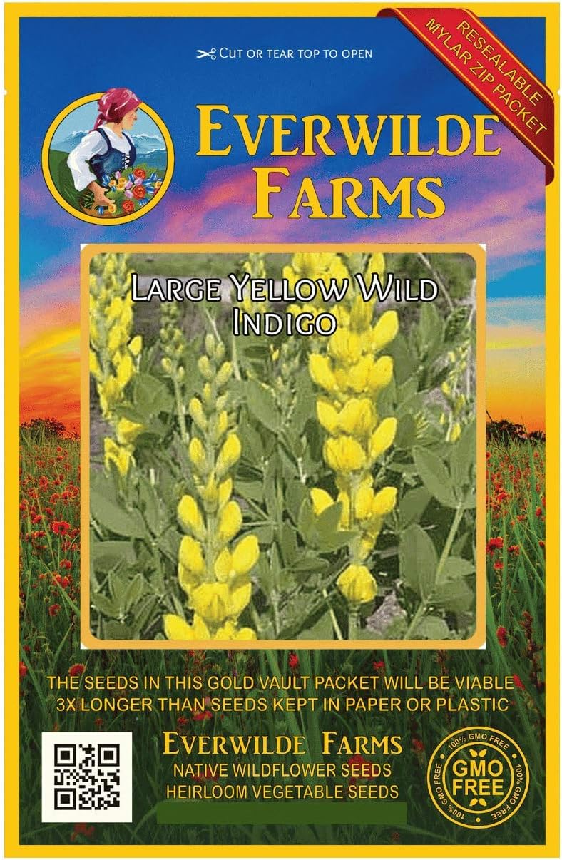 Amazon.com : Everwilde Farms - 10 Large Yellow Wild Indigo Native ...